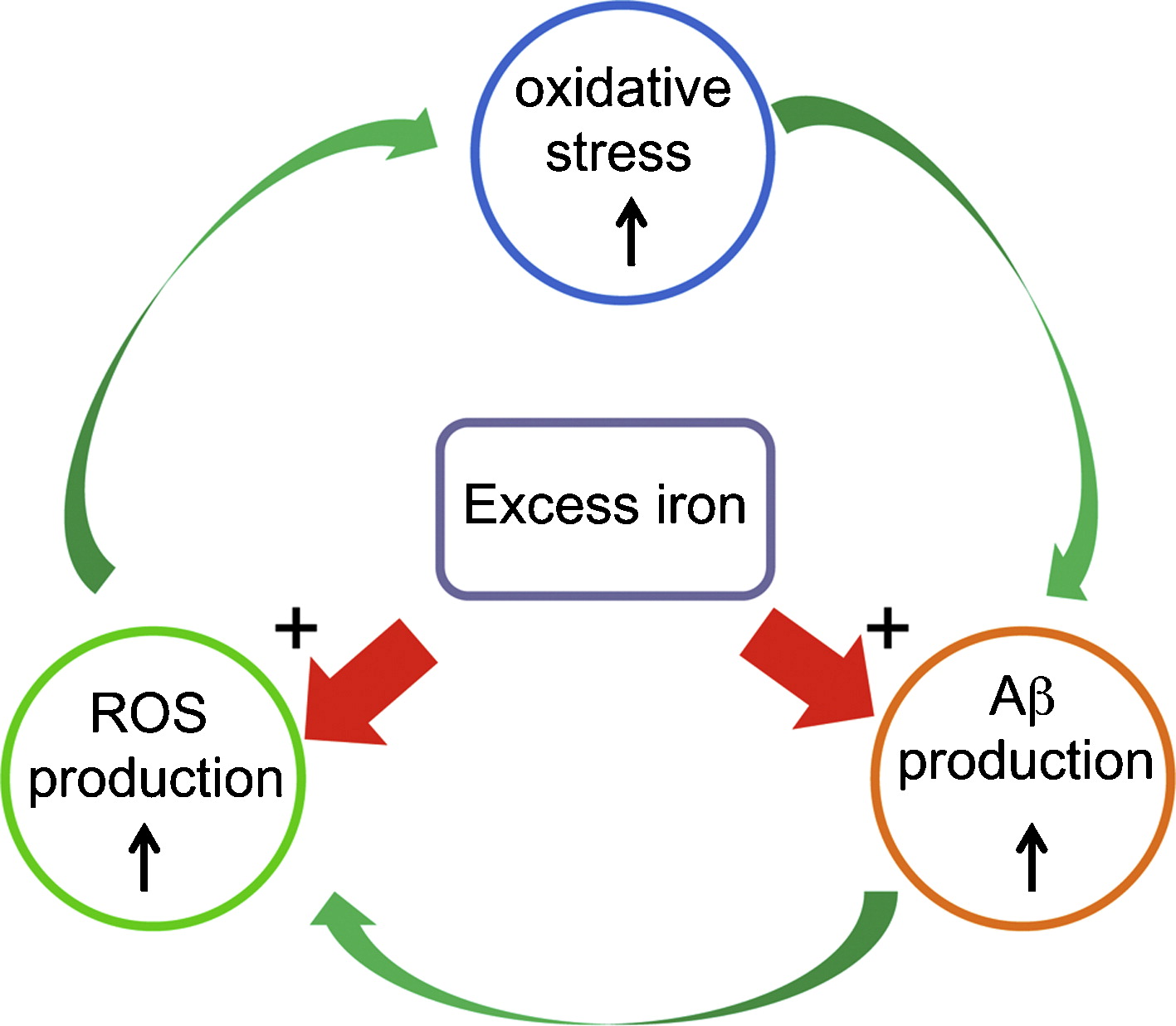Iron Toxicity Post #54: A Tale of Two Cities - The Root Cause Protocol