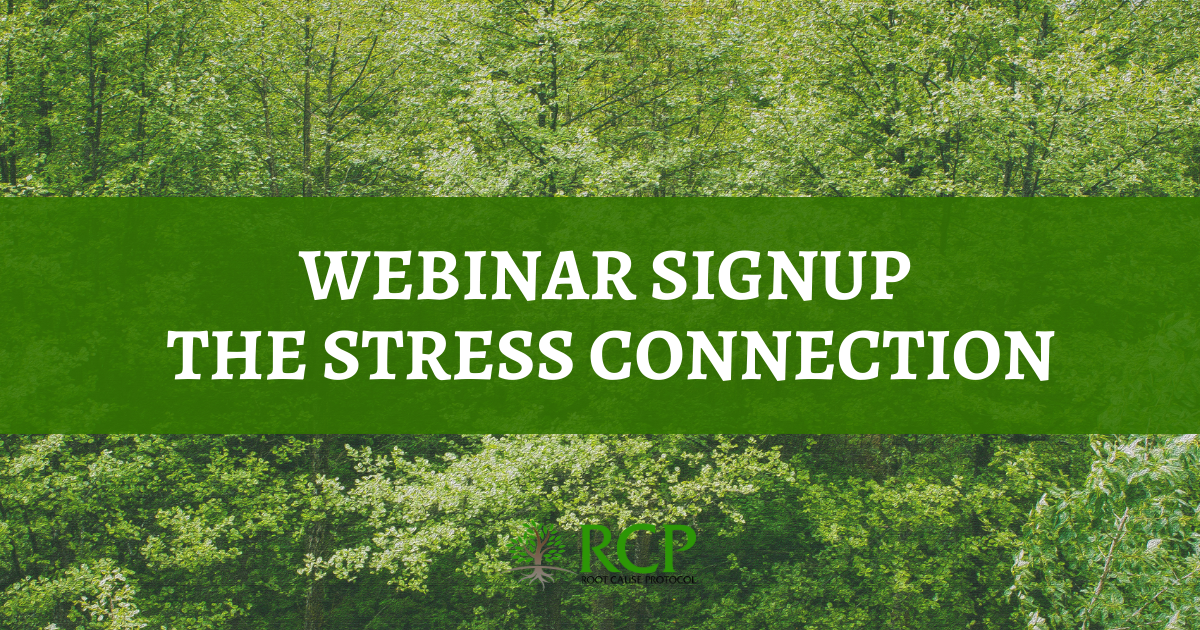 The Stress Connection | Webinar Replay
